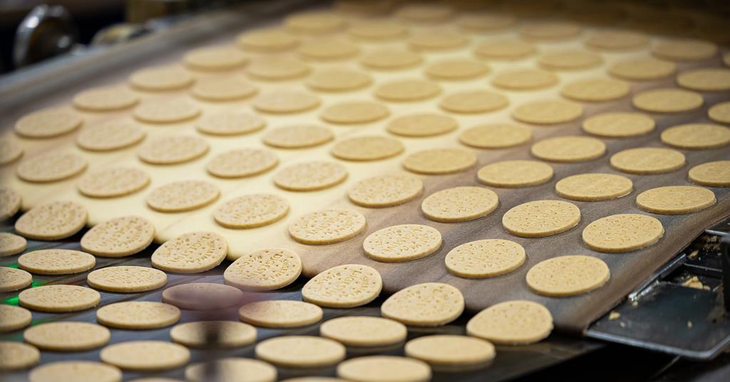 Cerealto UK CEO on continued development in bakery snack manufacturing ...