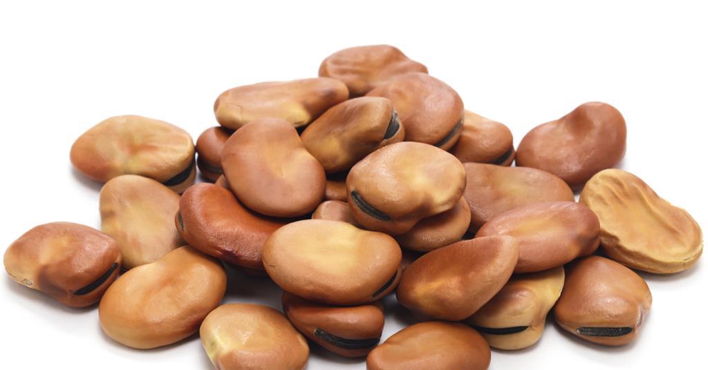 Could faba beans be the future of British bread? | News | British Baker