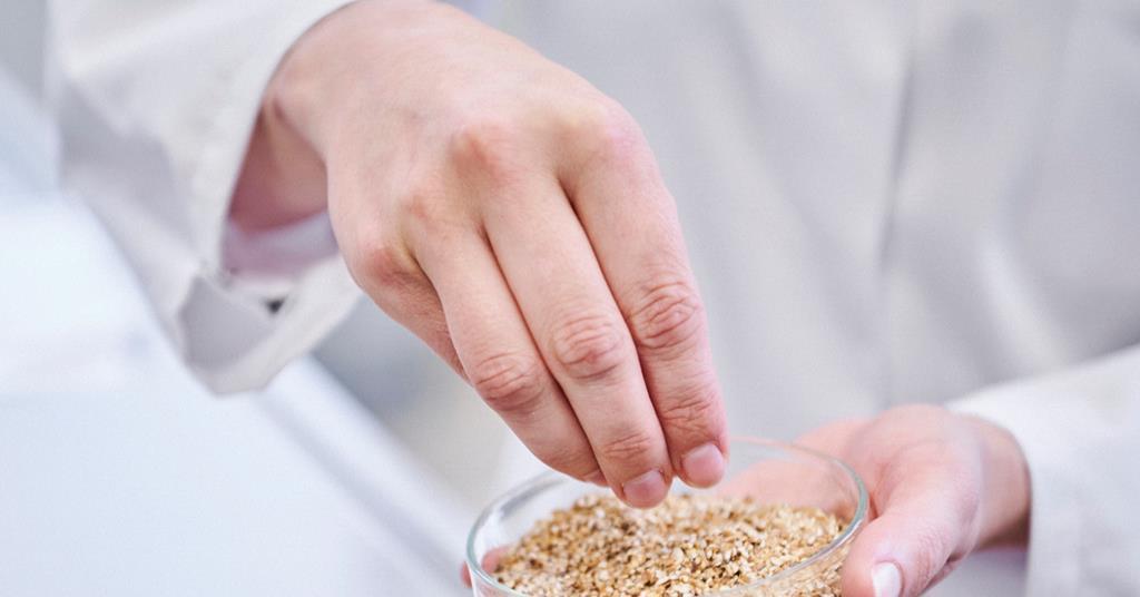 CSM Ingredients CEO Aldo Uva shares his vision of the future ...