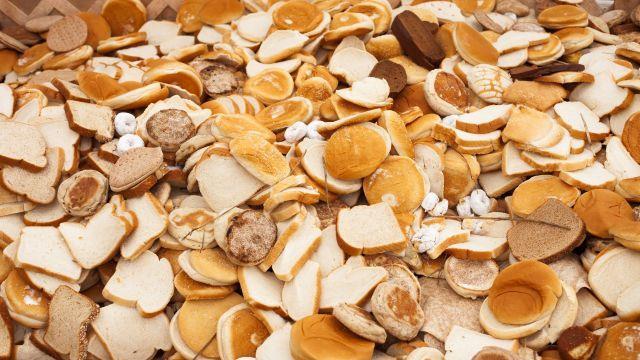 Bakery tech start-up CatsAI begins nationwide roll-out | News | British ...
