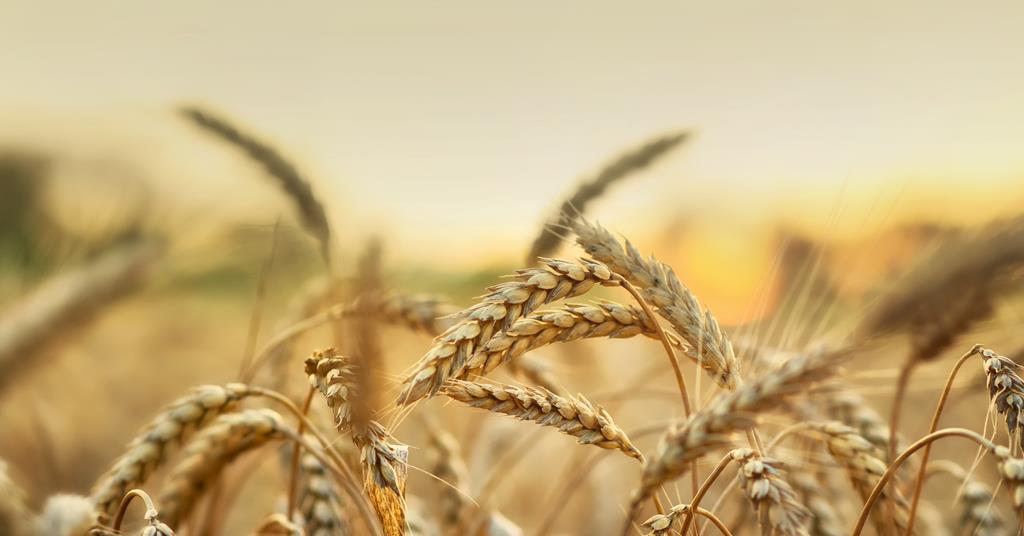 Alex Waugh on Nabim's rebrand to UK Flour Millers | News | British Baker