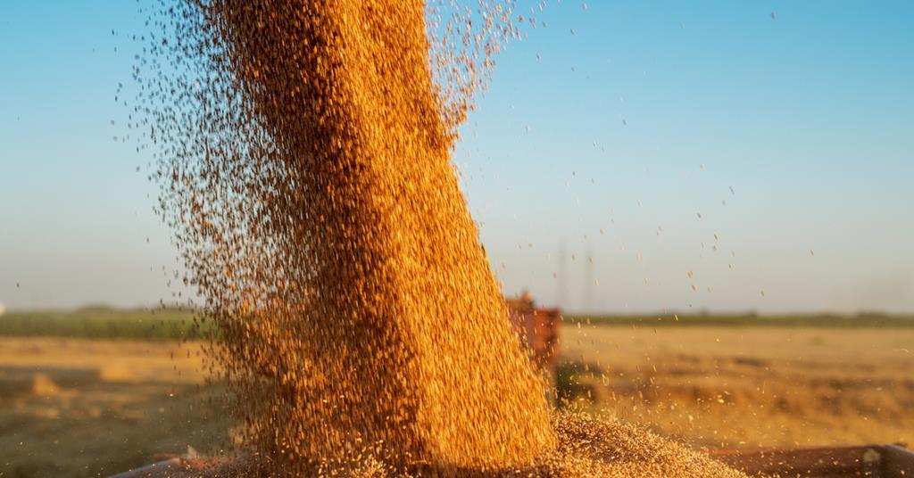 Consultation on combinable crops digital passport gets underway | News ...