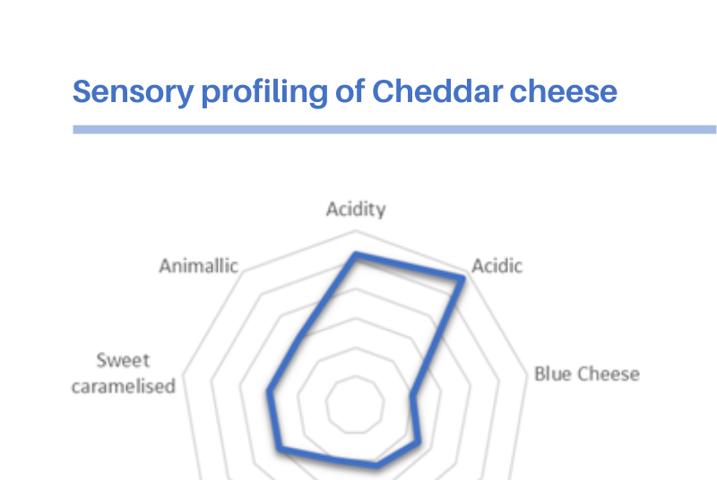 Melting the hearts of the nation: why cheese is a popular choice for ...