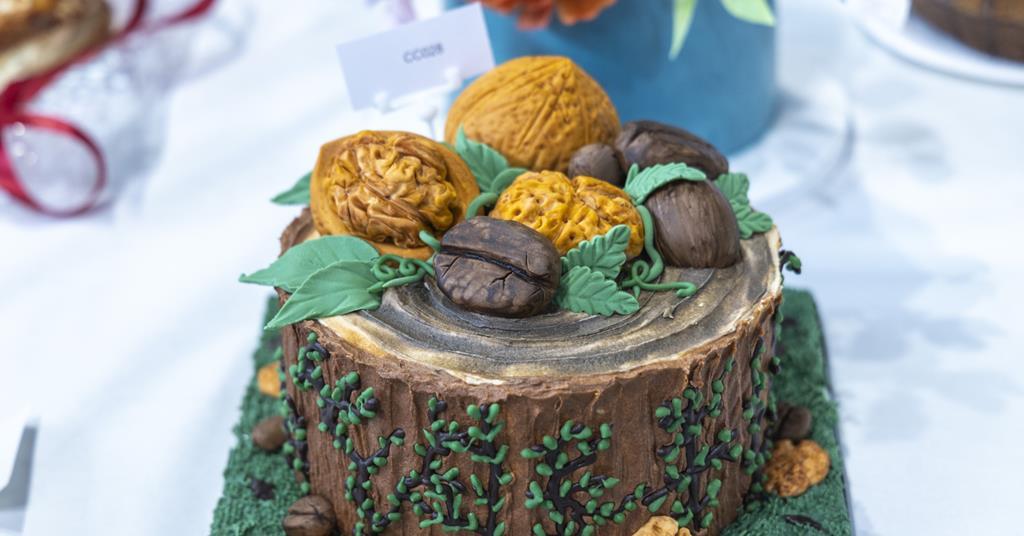 Hunt for the best bread and cake in Britain in 2026 gets underway ...