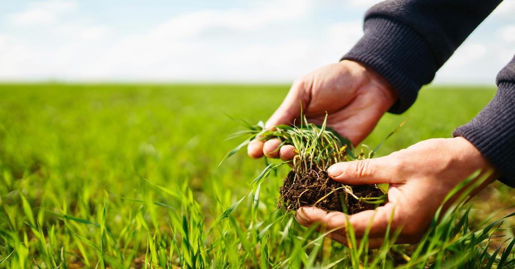 Wildfarmed teams up with bakeries for giveaway campaign | News ...