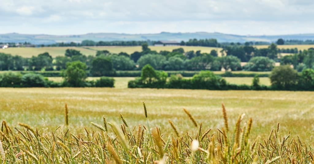 Wildfarmed wins Sustainability Initiative of the Year 2023 | British Baker