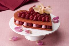 Pidy launches ready-to-use sponge sheets | Product News | British Baker