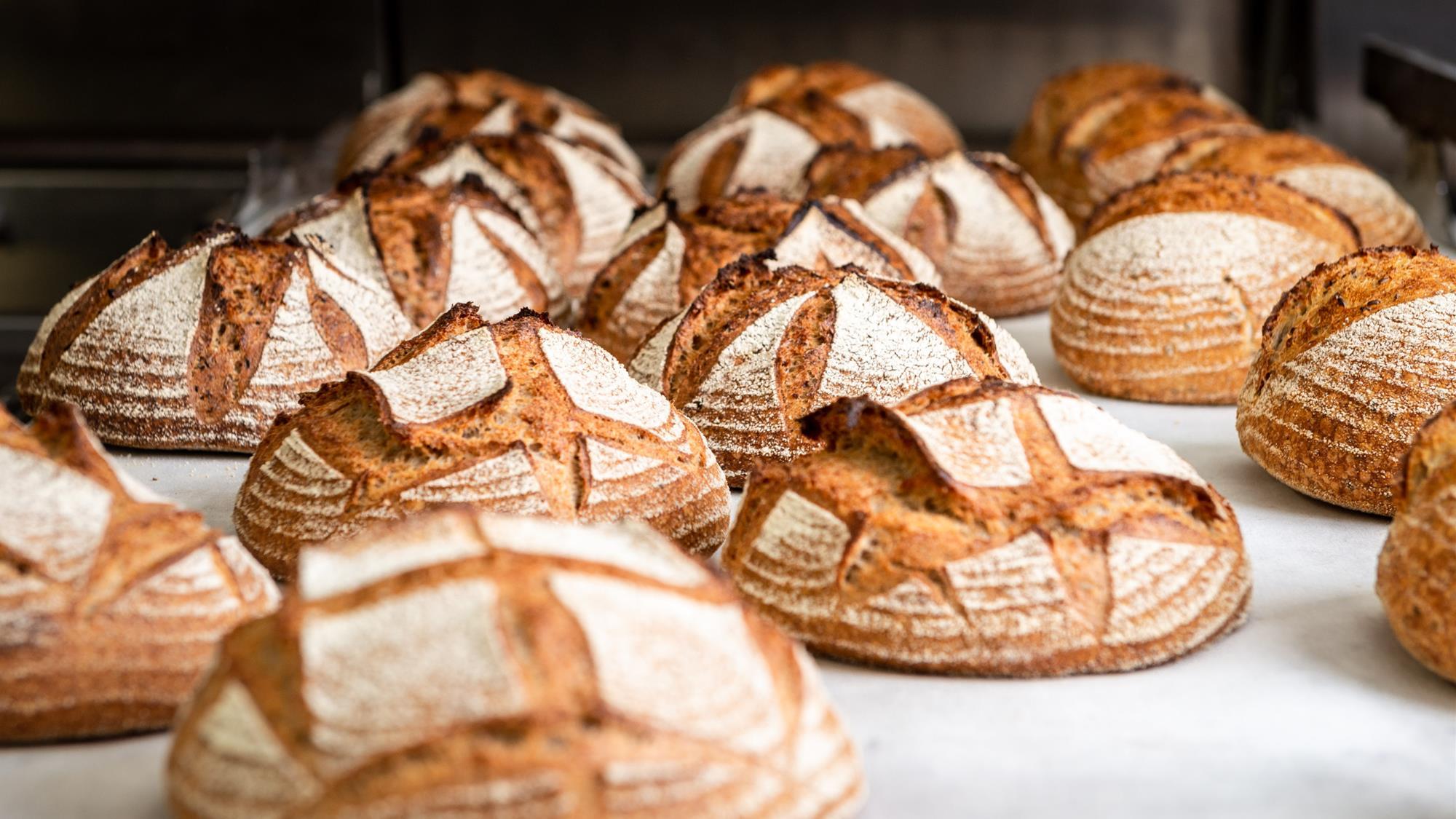 Britain’s best artisan bakeries of 2024 revealed | British Baker